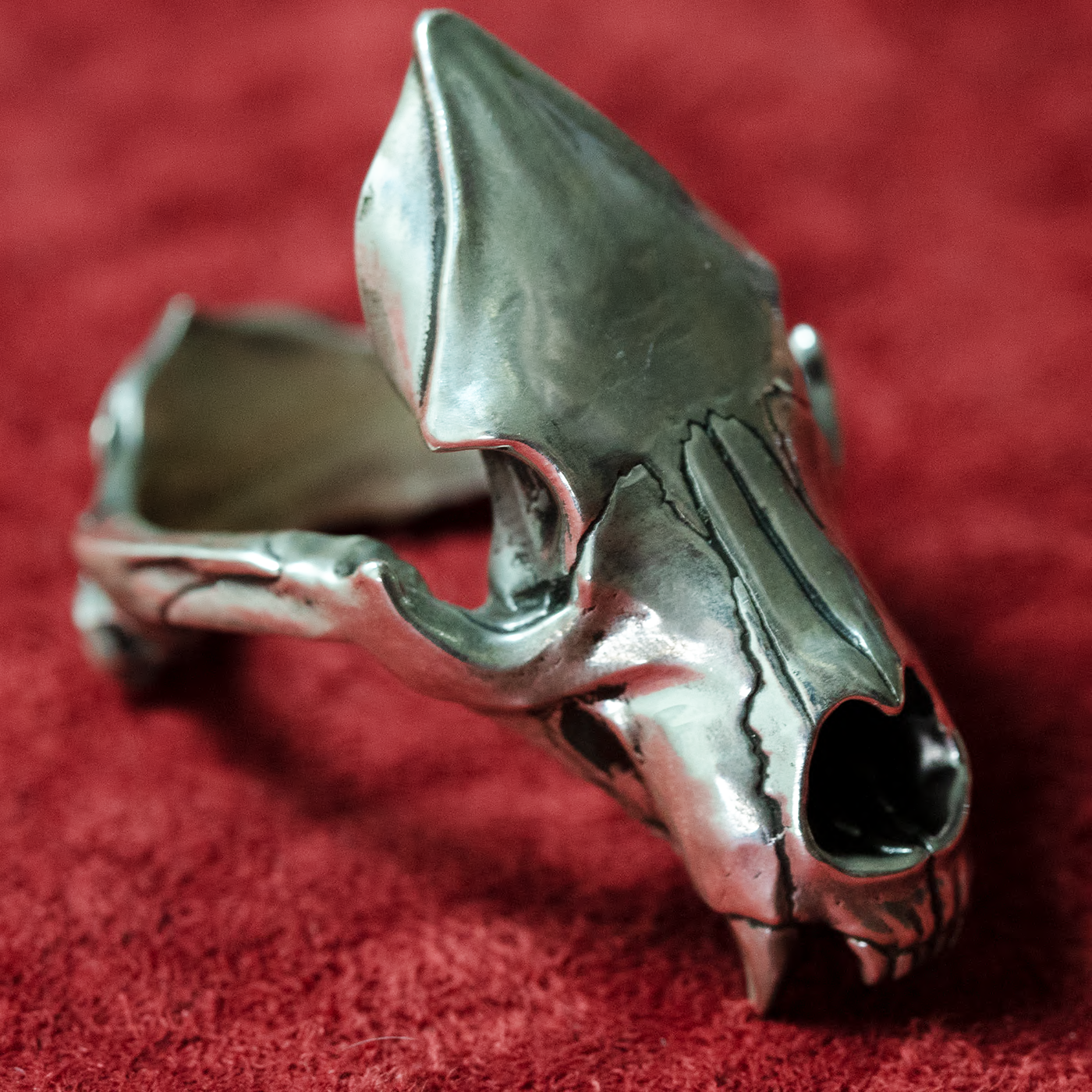 Bear Skull Ring – scrim_sean